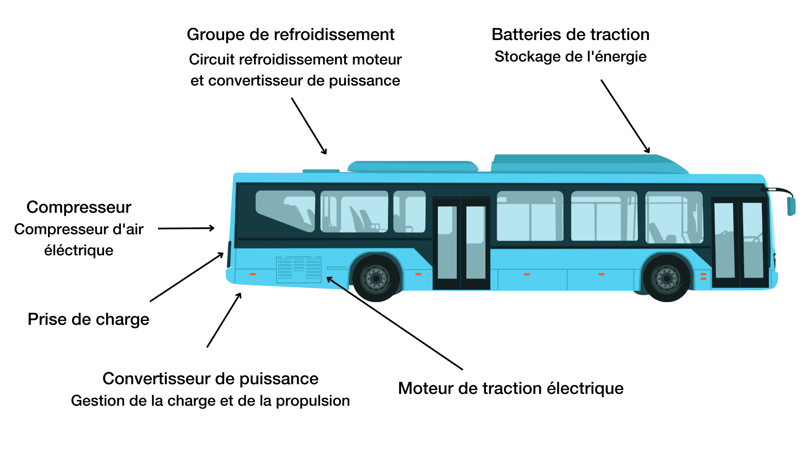 Comment fonctionne le bus électrique?